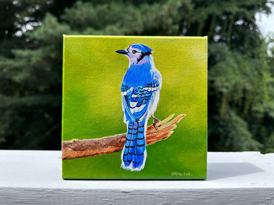 Blue Jay Bird Acrylic Painting Original Bird Painting on 6x6 Canvas Art ...
