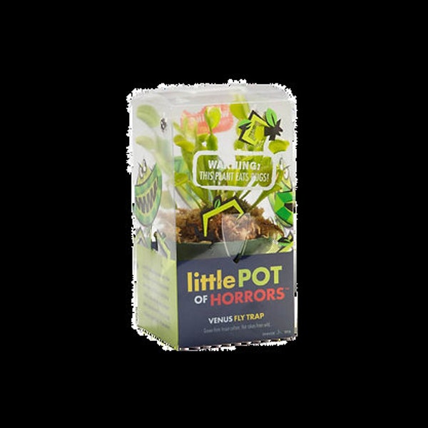 Venus Fly Trap - Etsy