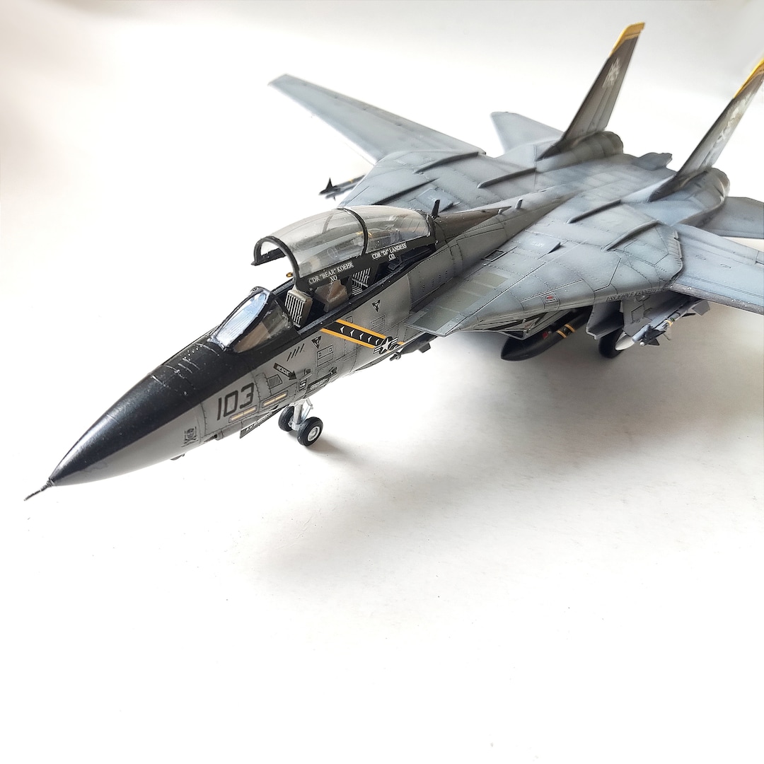 F-14 in 1:72 Scale, Pro Built Model With Display Stand - Etsy