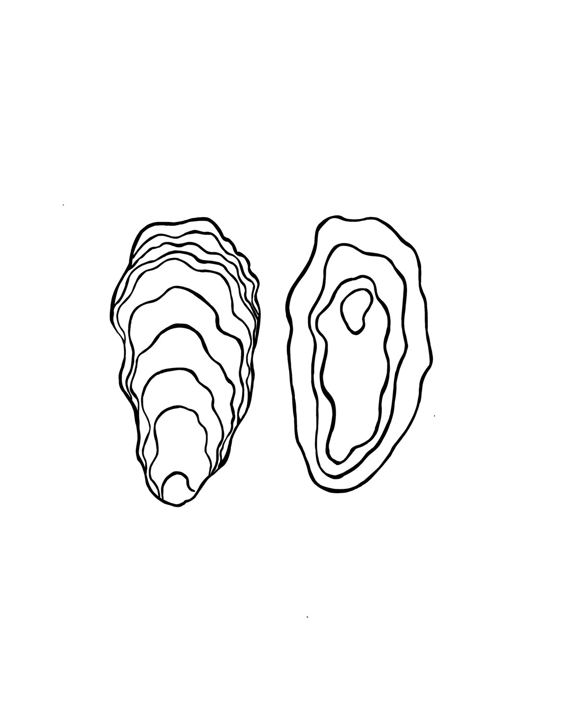 Oyster Outline Digital Art - Etsy