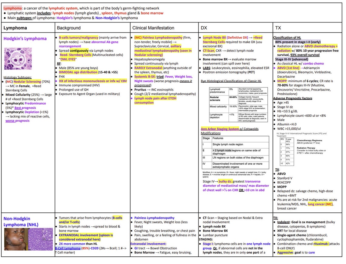 Hematological Malignancies Chart - Etsy