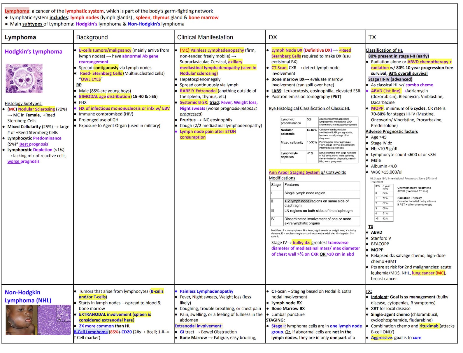 Hematological Malignancies Chart - Etsy