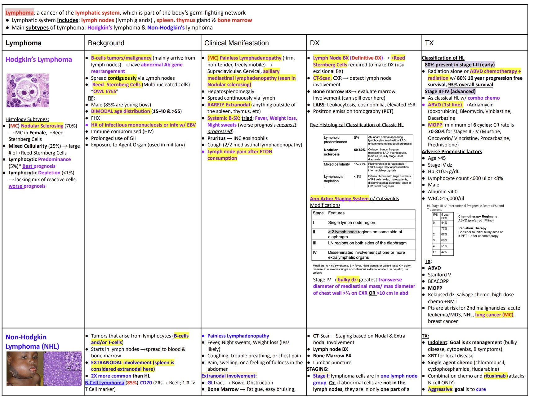 Hematological Malignancies Chart - Etsy