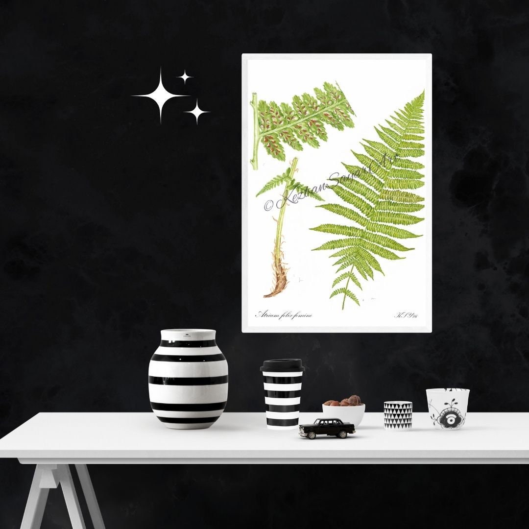 Lady Fern, Watercolor Drawing, Scientific Plant Illustration ...