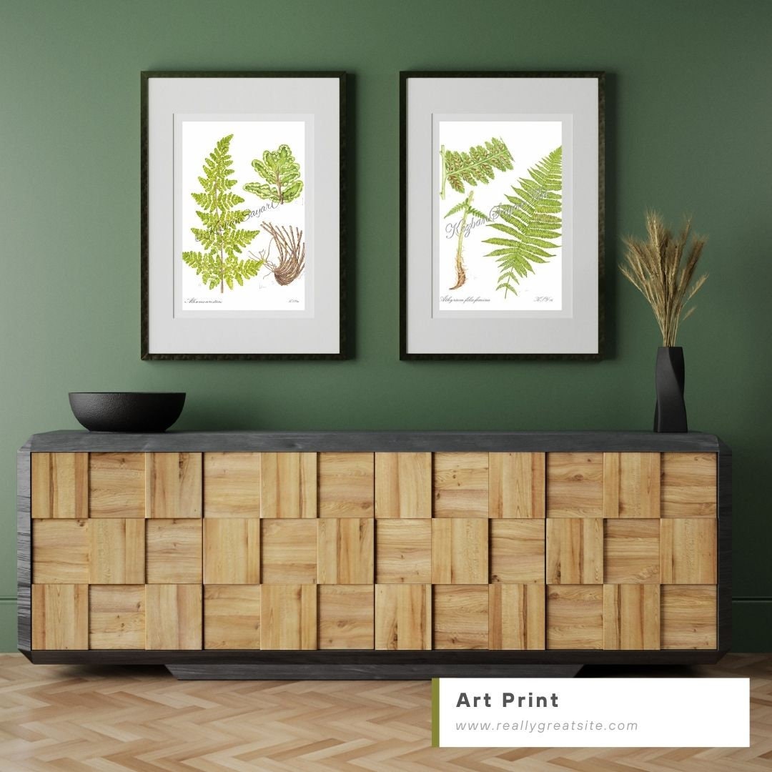 Watercolor Drawing, Scientific Plant Illustration,İllustration ...