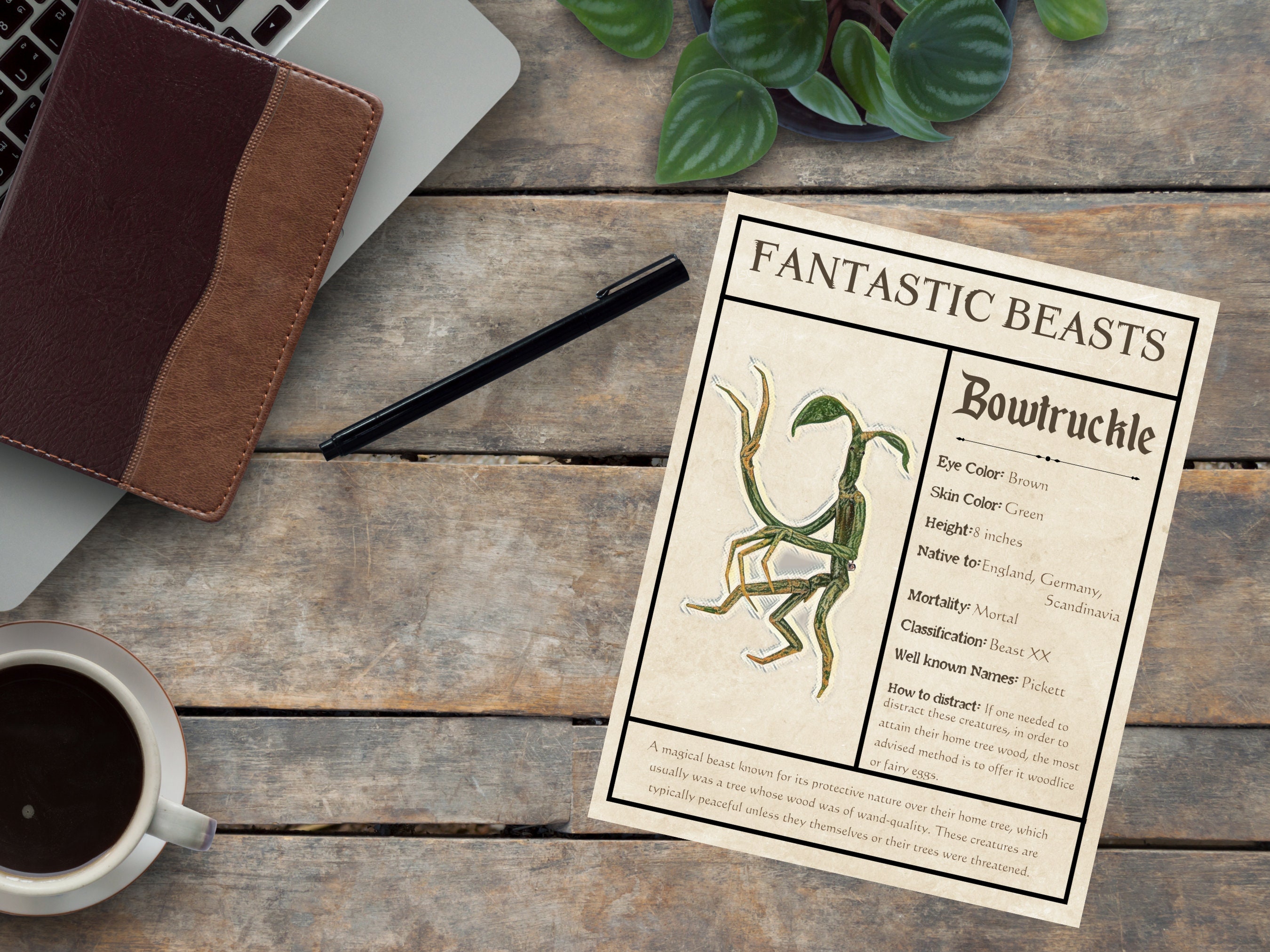 Fantastic Beasts Creatures Chart Series 1 // Instant Download ...