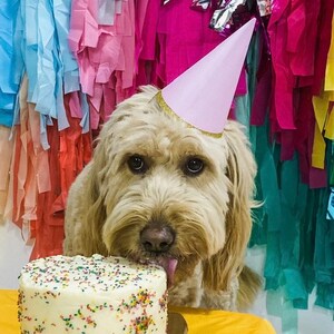 Dog Sprinkles Edible - Etsy
