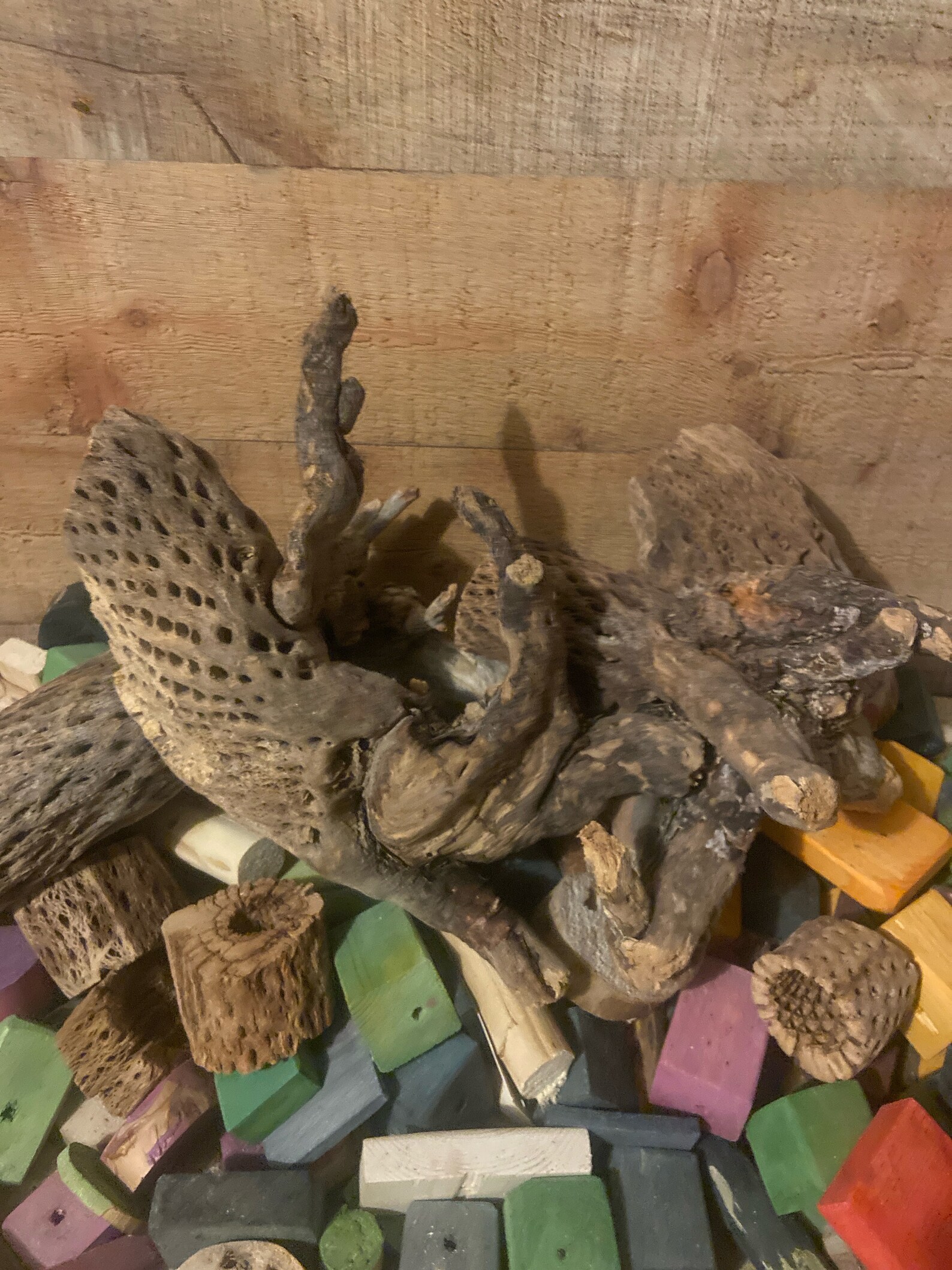 Cholla Root Large: Awesome Toy Part for Exotic Pets - Etsy