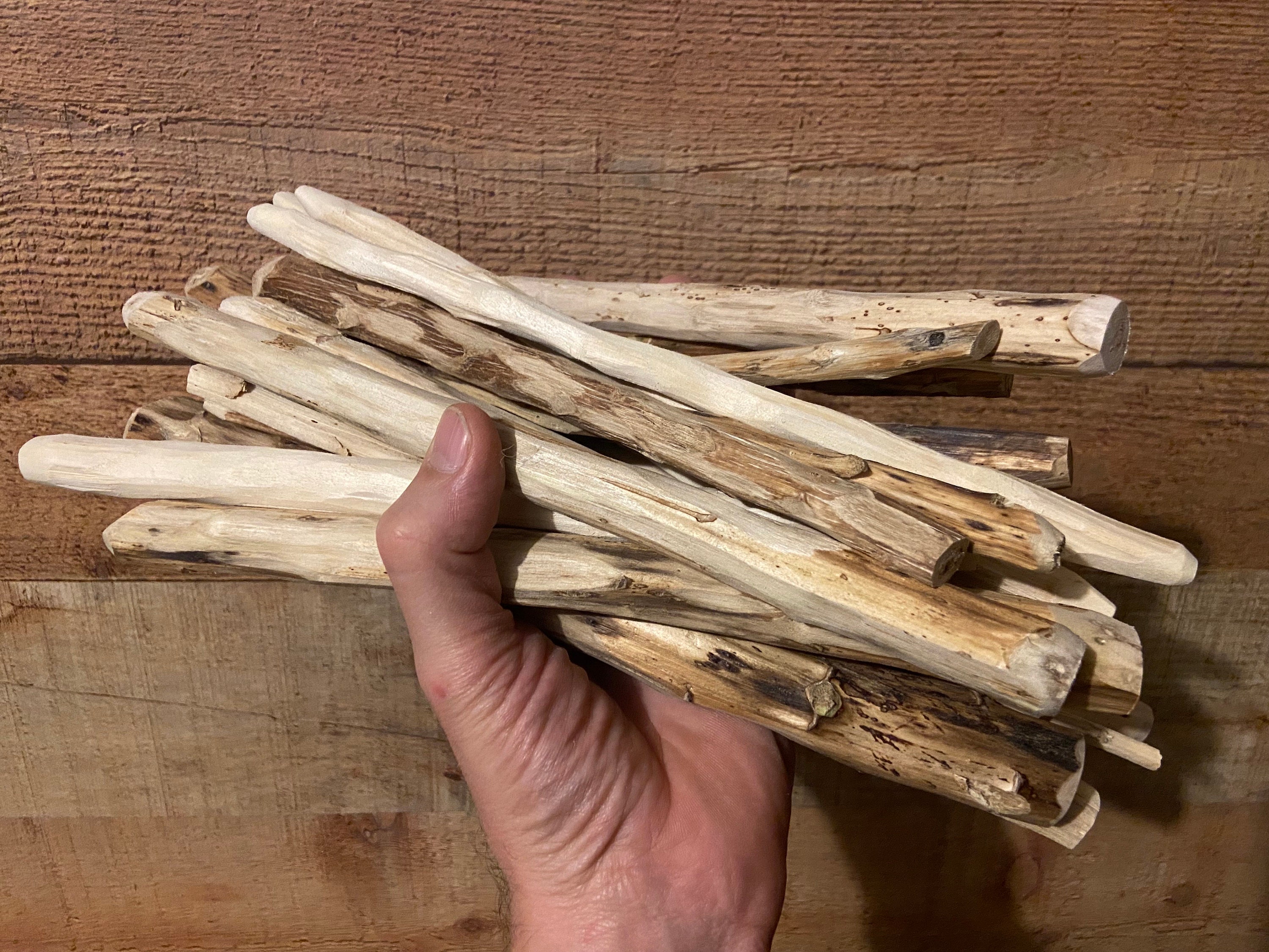 20-pack Yucca Talon Sticks: Safe Shredding Fun for Parrots - Etsy
