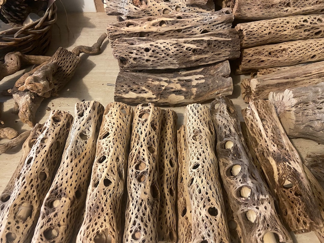 Cheap Economy Teddy Bear Cholla Bird Perches - Etsy