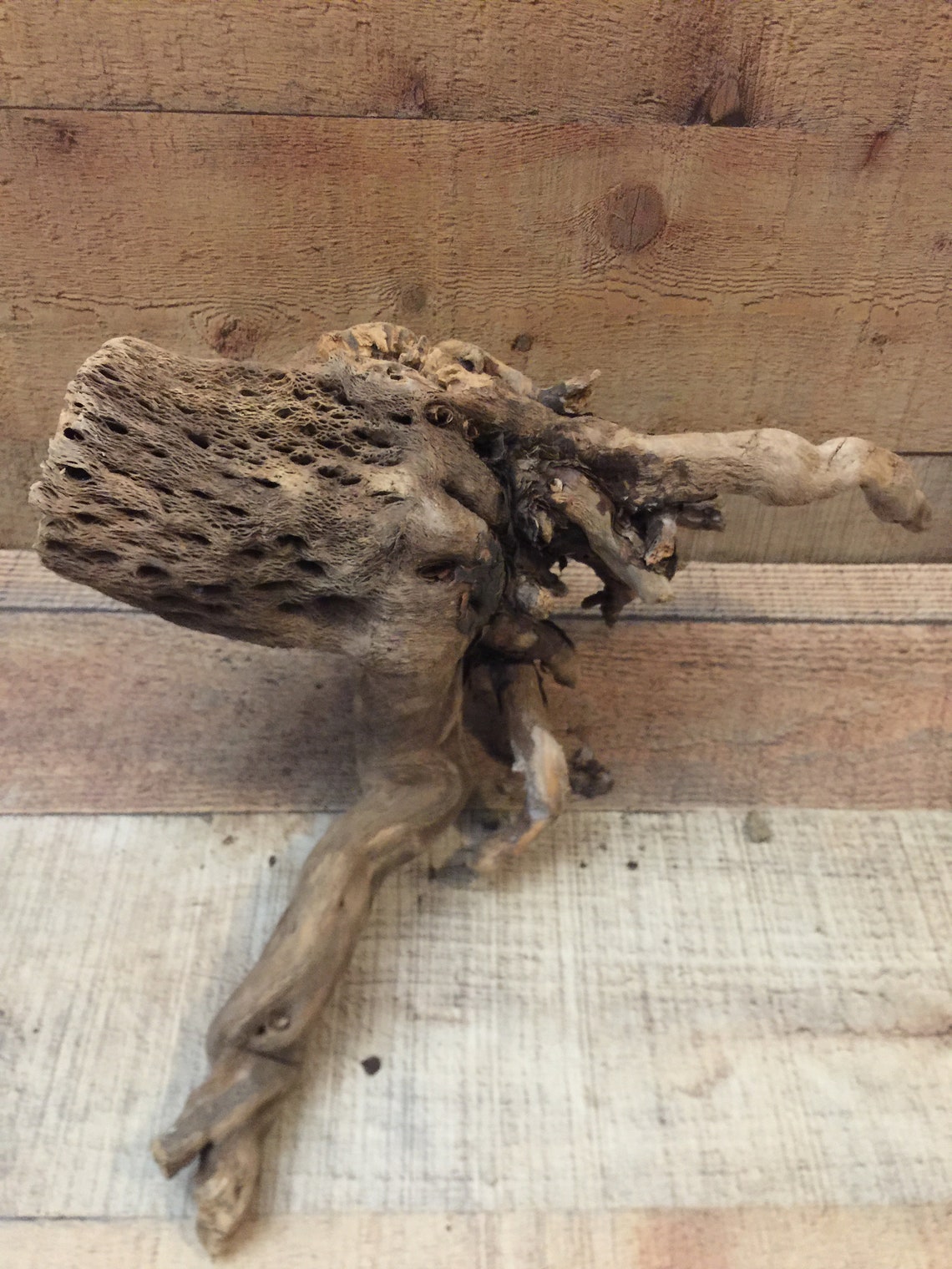 Cholla Root Large: Awesome Toy Part for Exotic Pets - Etsy