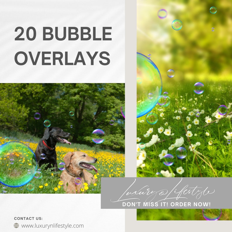 Bubble Overlays - Etsy