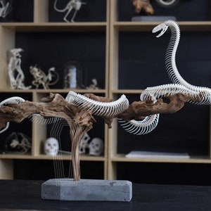 Real Snake Skeleton Snake Bone Mounted With Dead Wood Coiled - Etsy ...