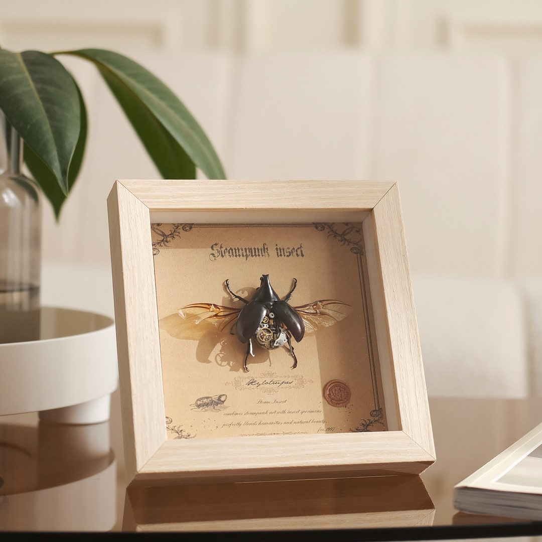 Steam Punk Mechanical Ladybug Static Specimen Retro Decoration - Etsy