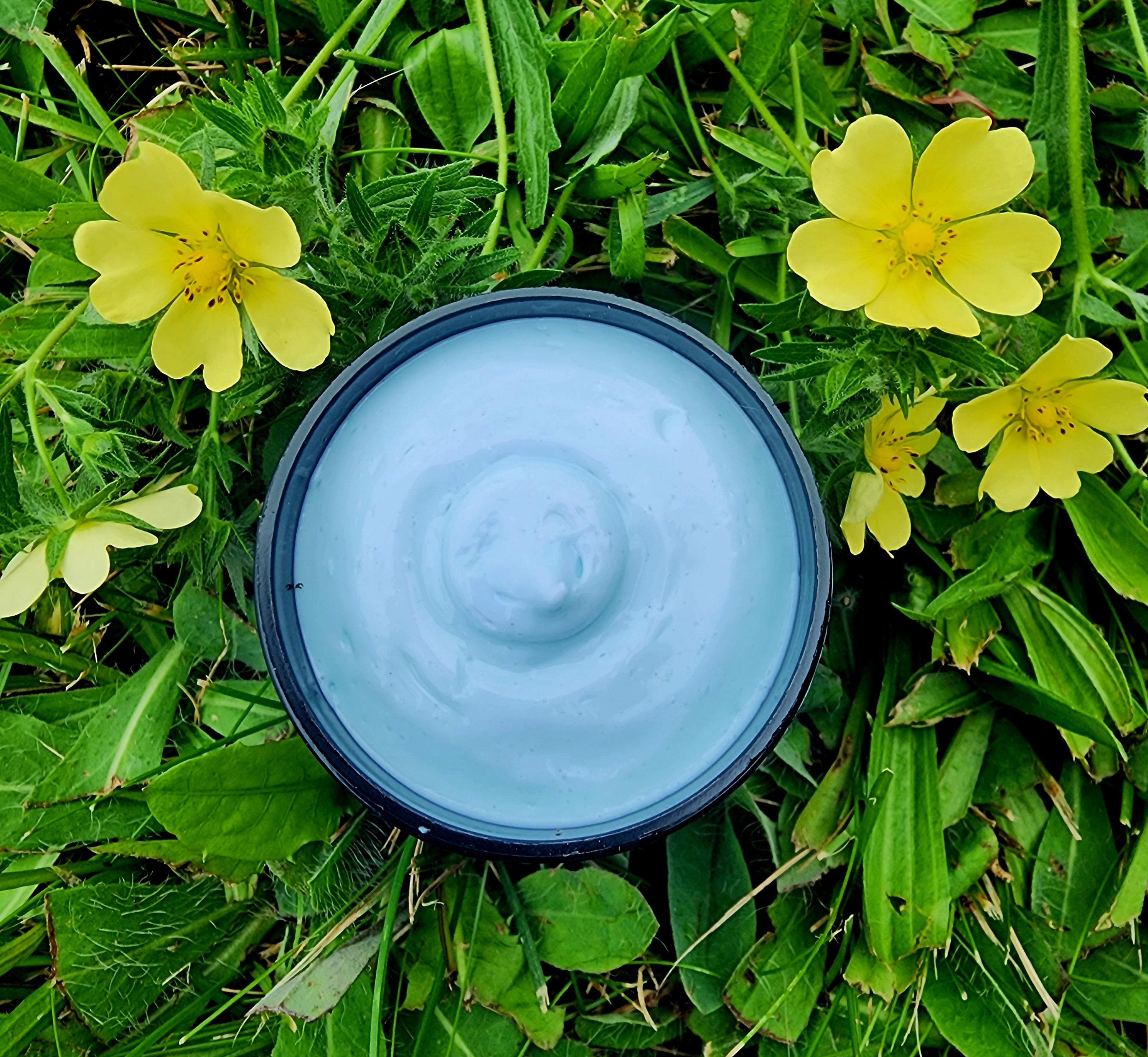 Methylene Blue Midnight Cream Daily Night Time Intensive Face and Neck ...