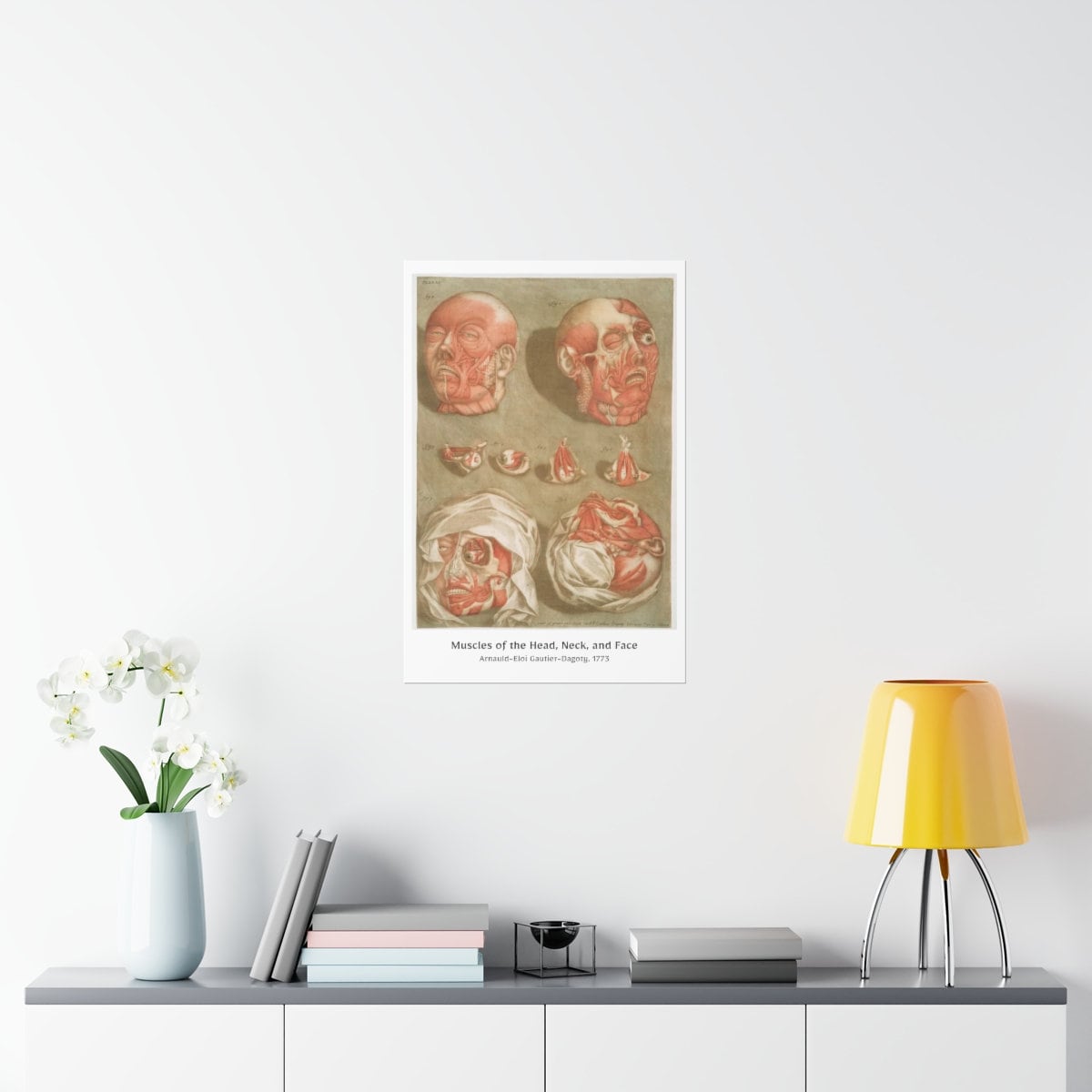 Muscles of the Head, Neck, and Face Poster | Unique Gift | Vintage ...