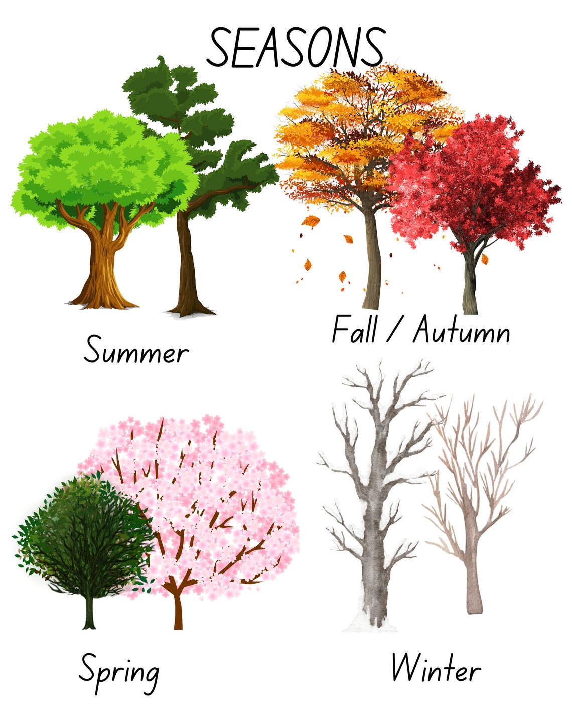 Set of 13 Educational Posters Montessori Classroom Decor - Etsy