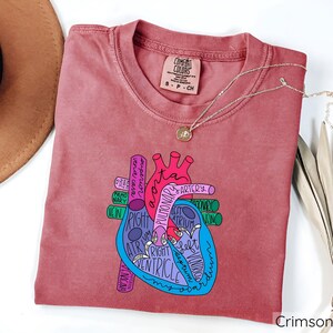 Heart Anatomy T-shirt, Medical Professional Shirt, Nursing School ...