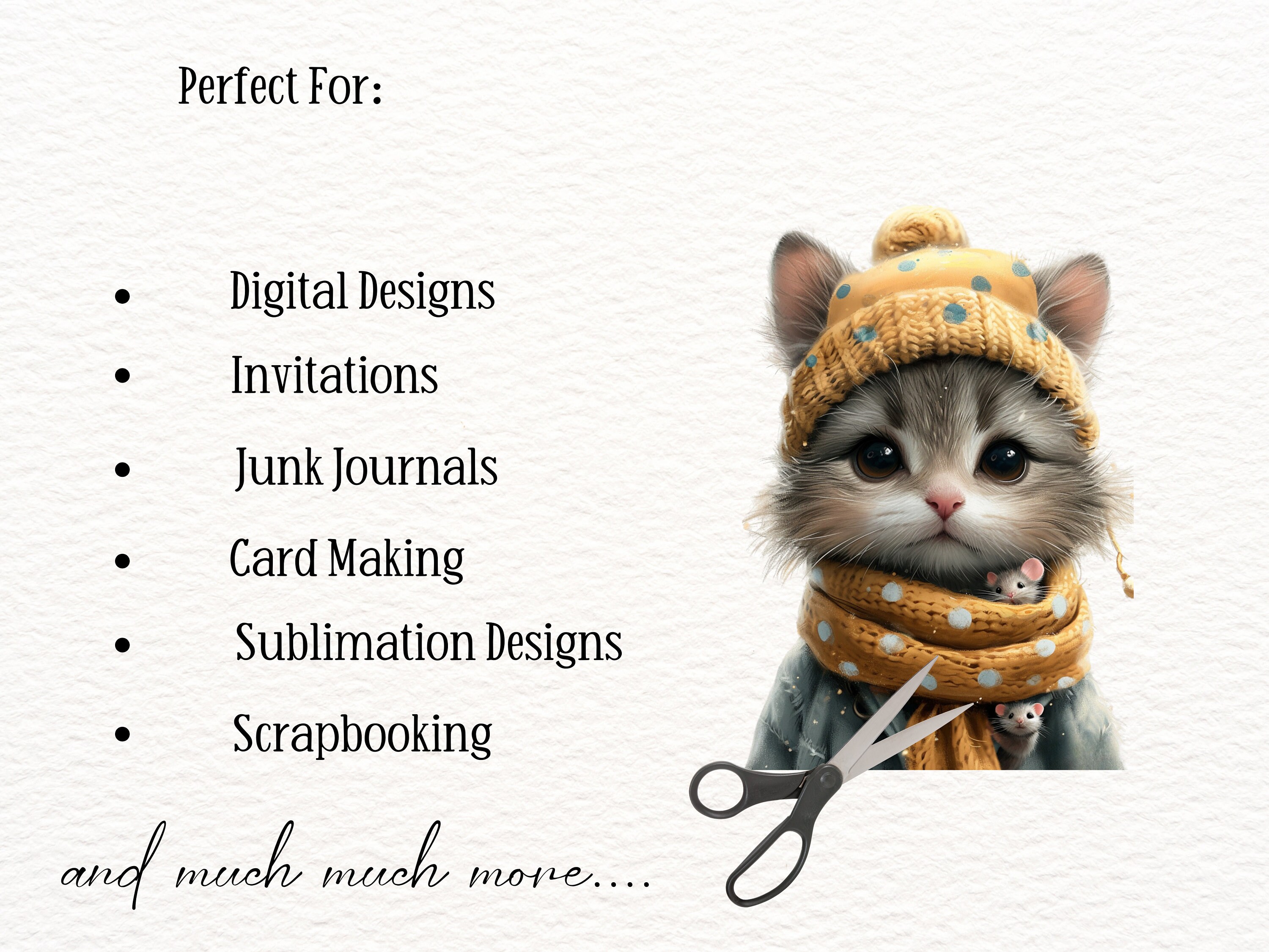 Cats Clipart Bundle, 10 PNG Cute Cats, Funny Cats Clipart, Funny Cats ...