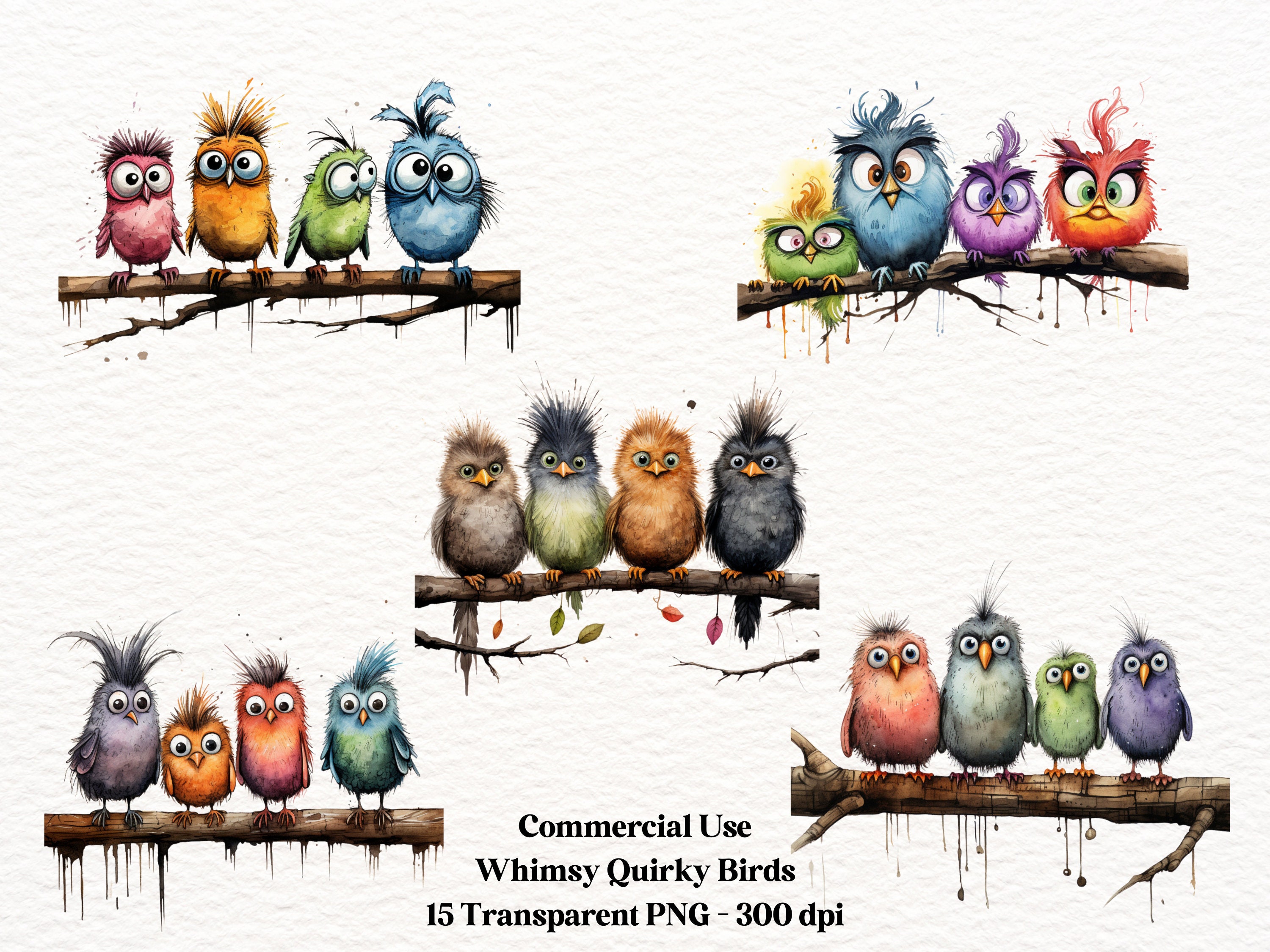 Funny Birds Png, Cute Birds PNG, Funny Birds Clipart, Funny Birds Png ...
