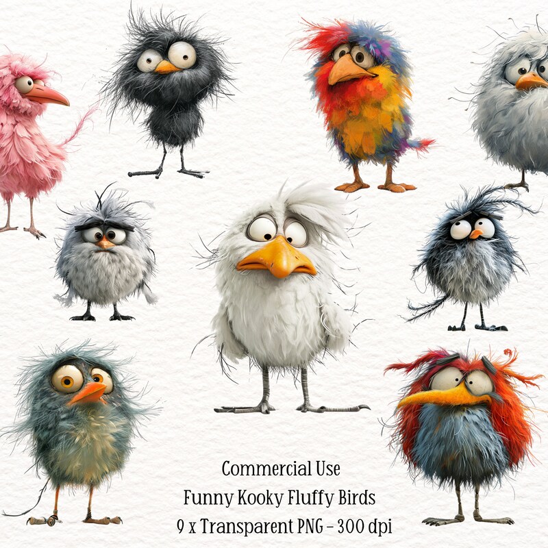Funny Birds Clipart - Etsy