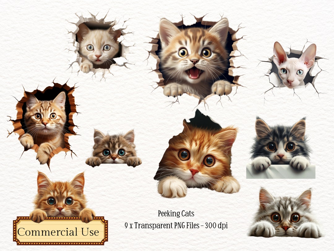 Funny Cat Pack PNGS, Funny Cat Clip Art, Cat Digital Downloads Clip Art ...