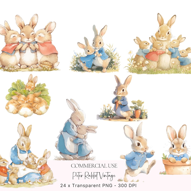 Peter Rabbit Clipart - Etsy