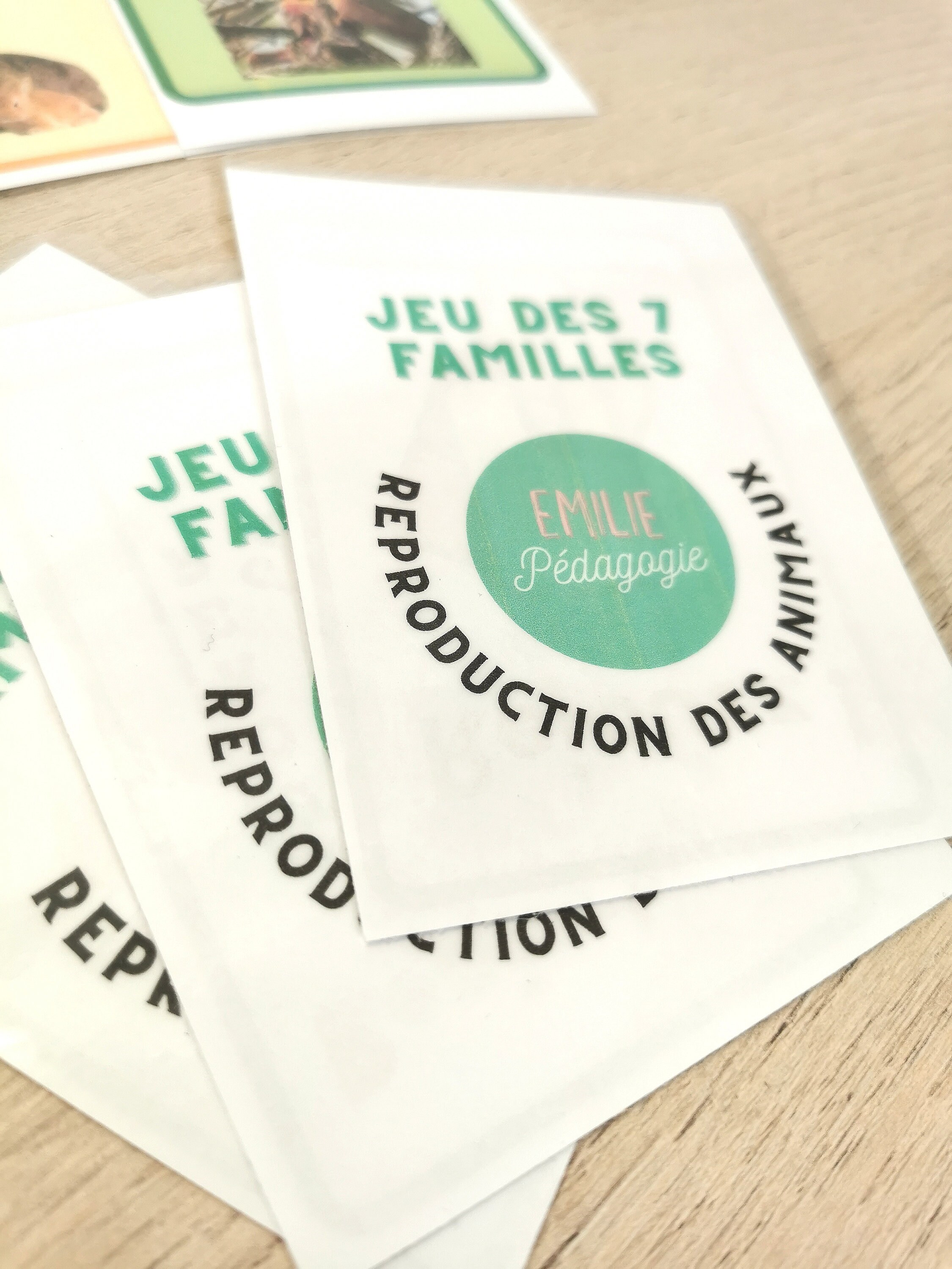 Game of 7 Families on Animal Reproduction - Etsy