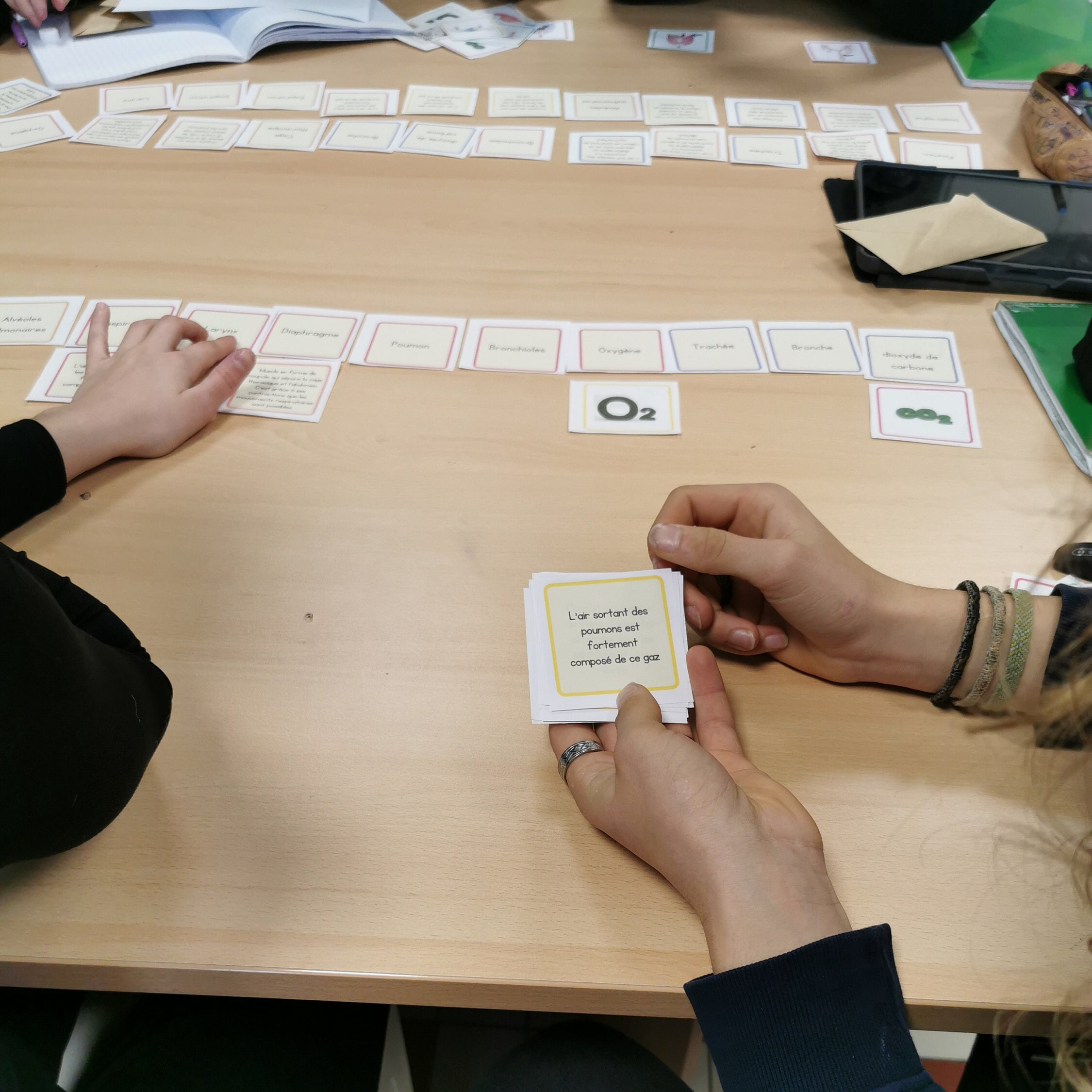 Respiratory System Card Game - Etsy