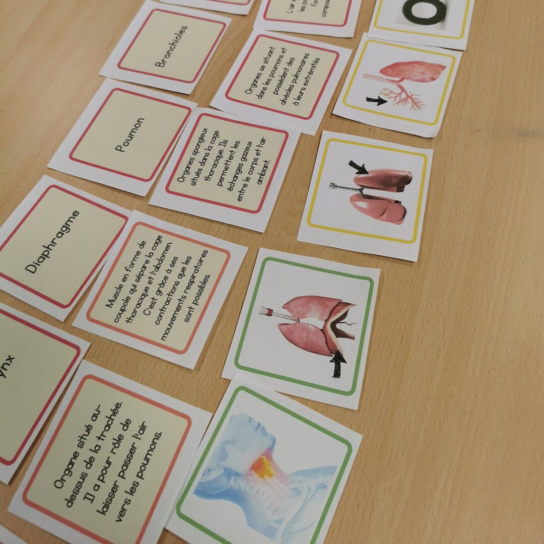 Respiratory System Card Game - Etsy
