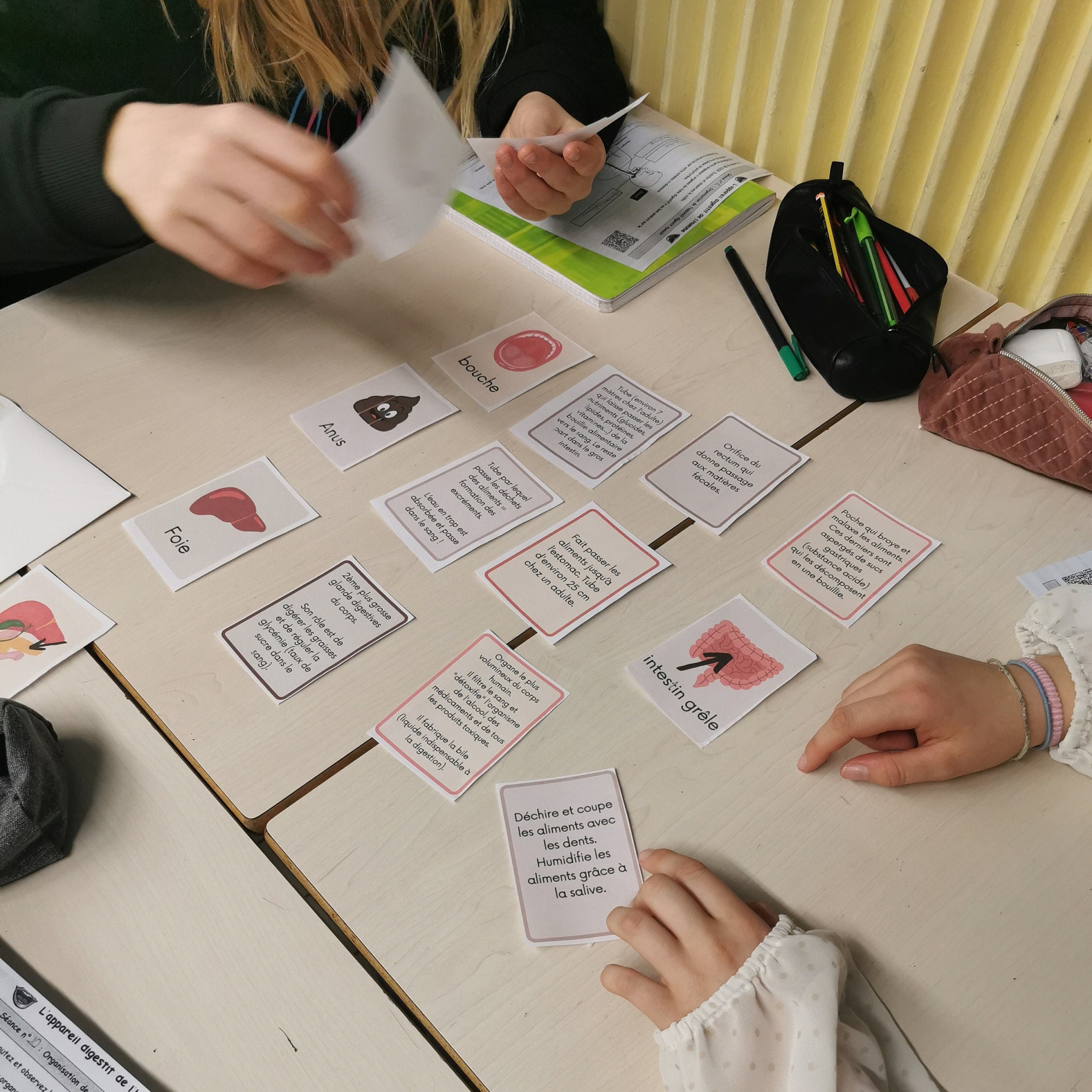 Human Digestive System Card Game - Etsy