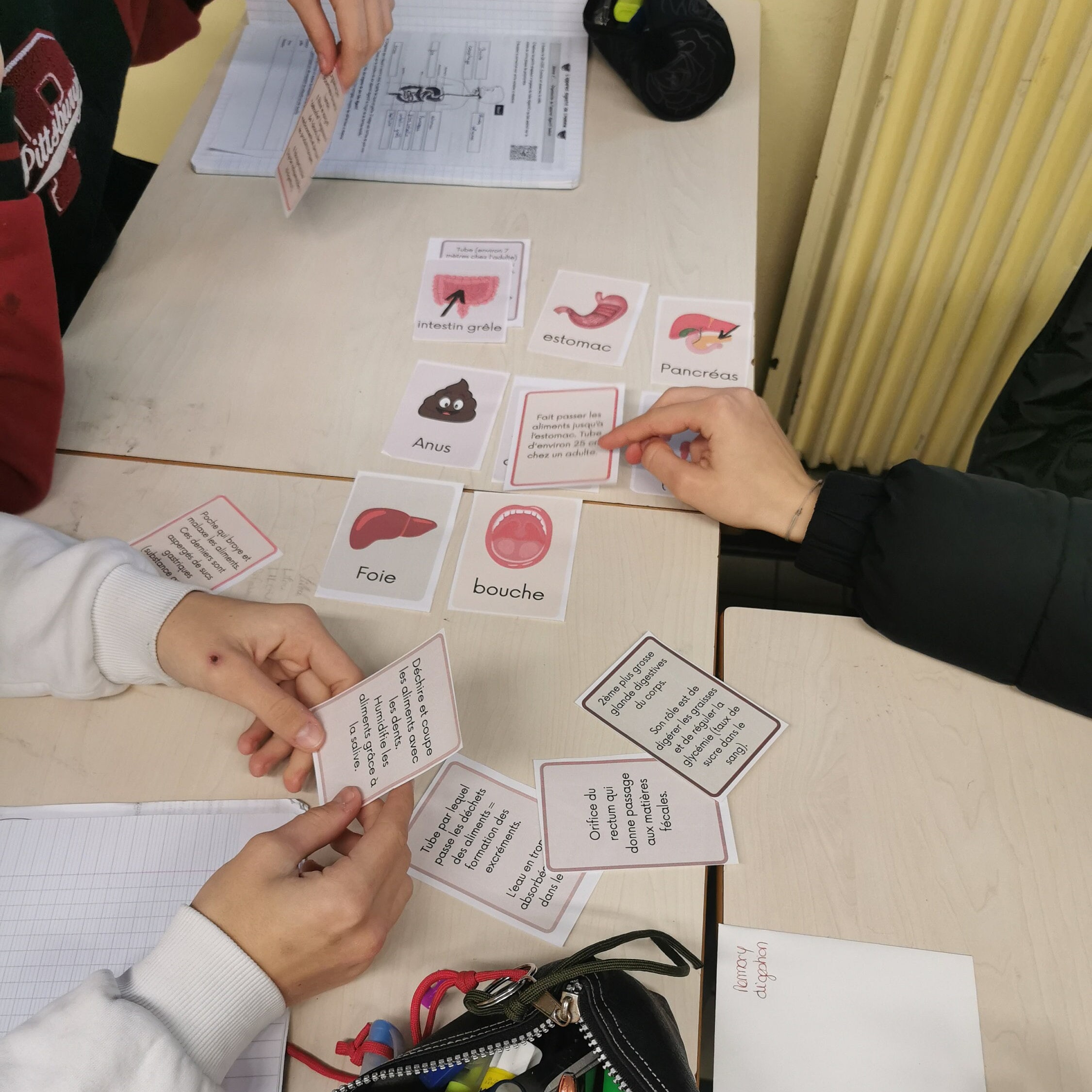Human Digestive System Card Game - Etsy