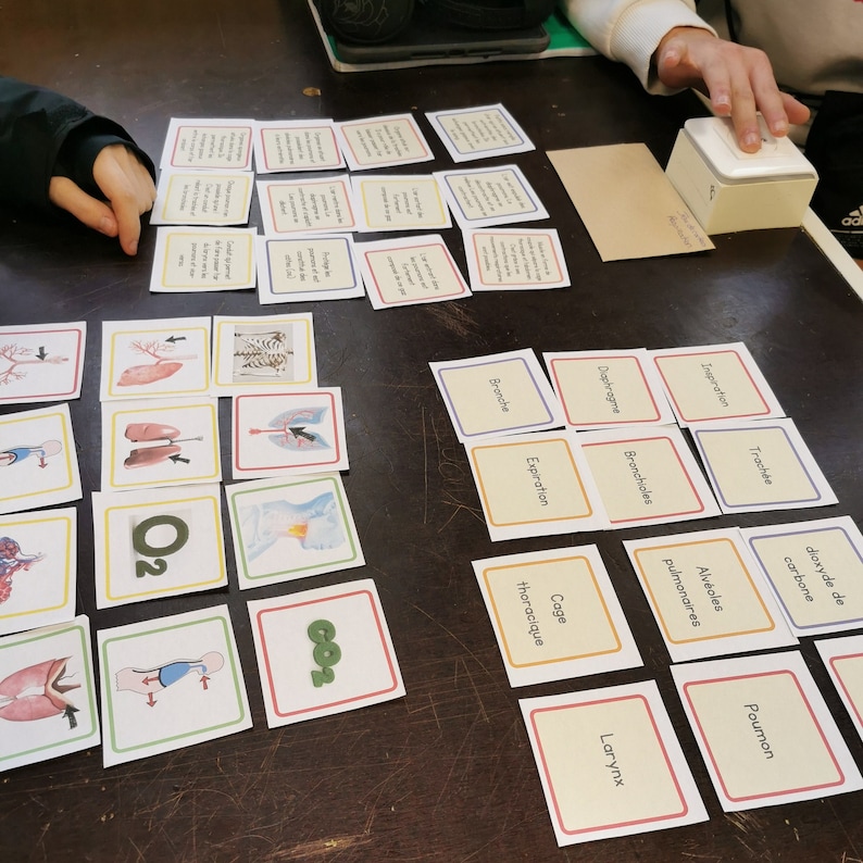 Respiratory System Card Game - Etsy