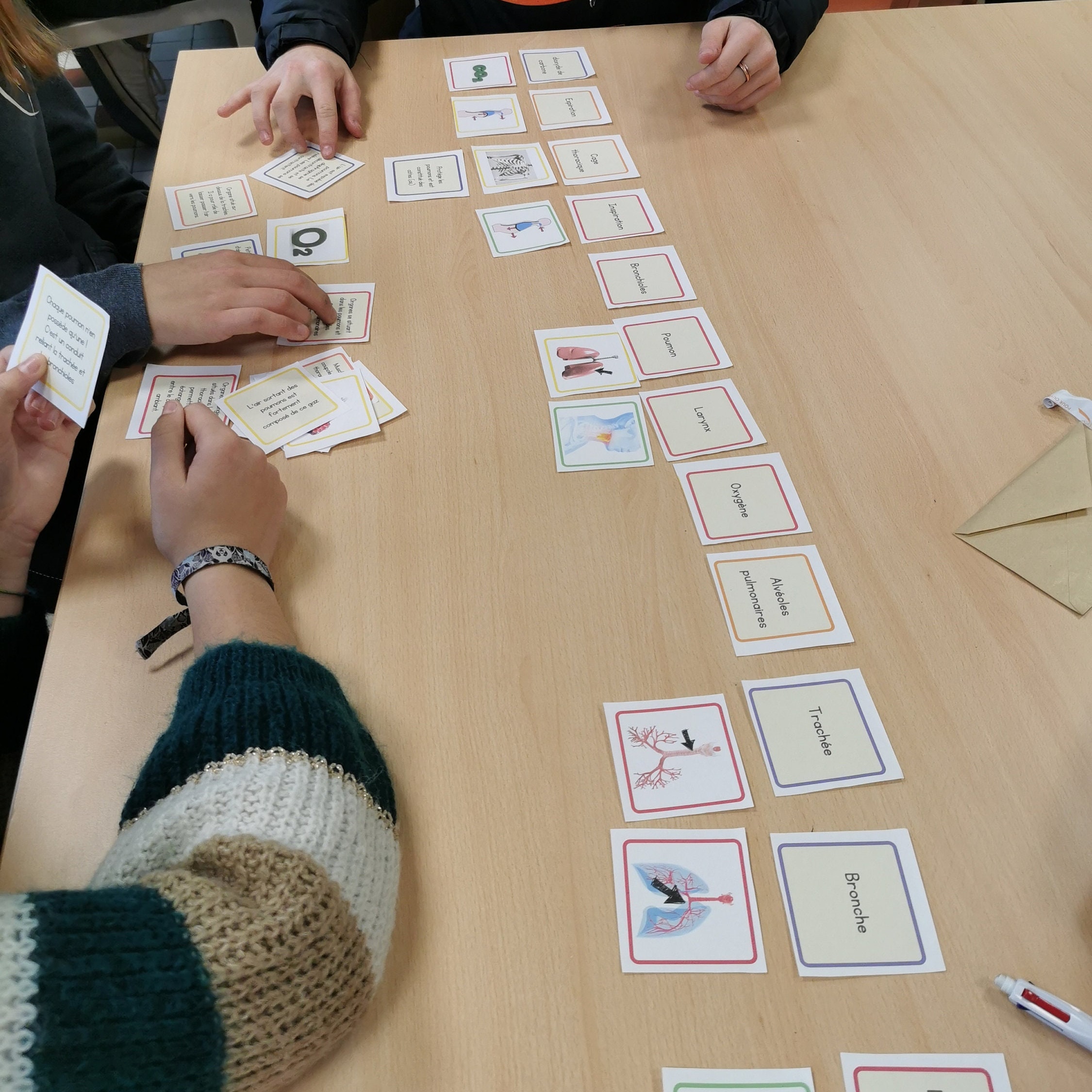 Respiratory System Card Game - Etsy