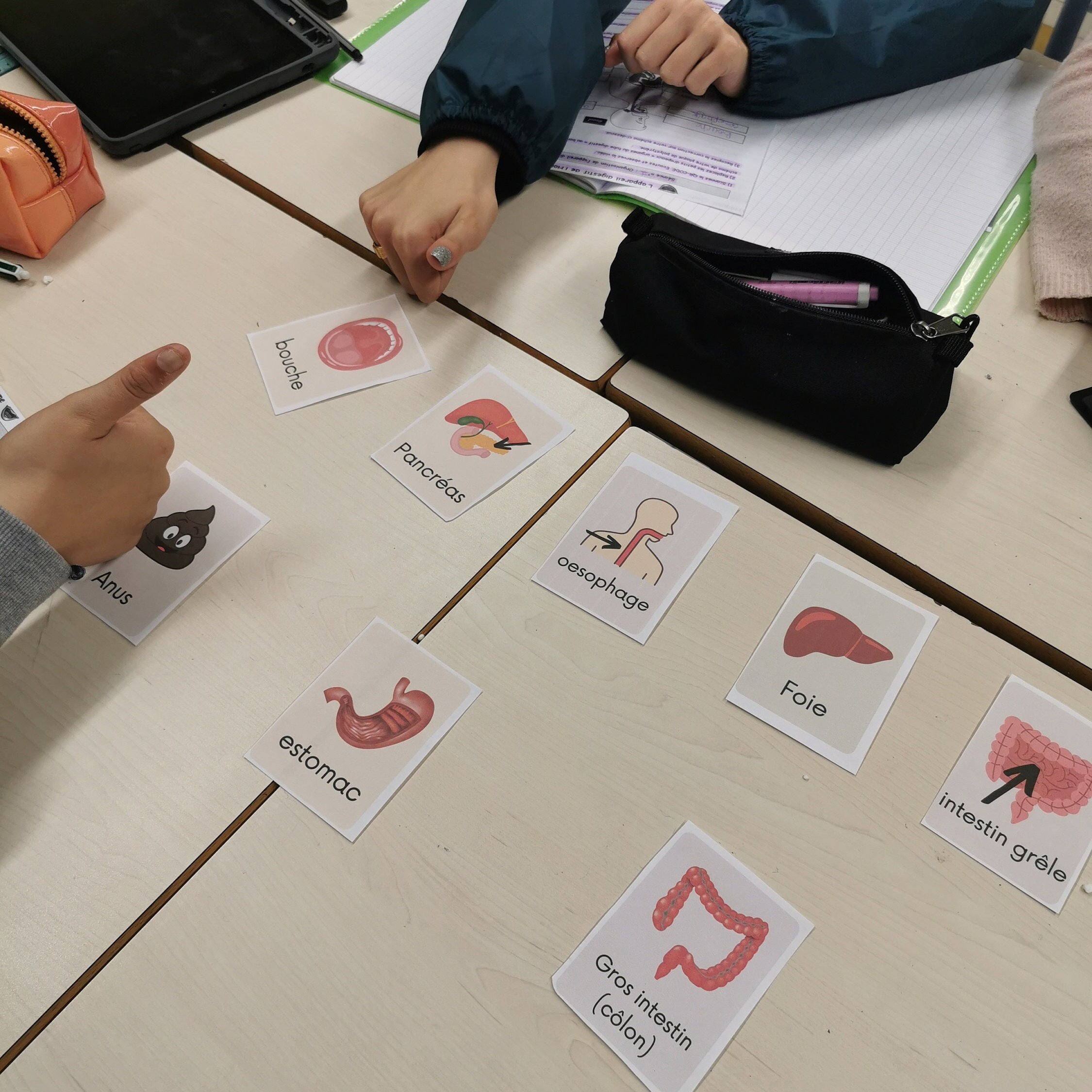 Human Digestive System Card Game - Etsy