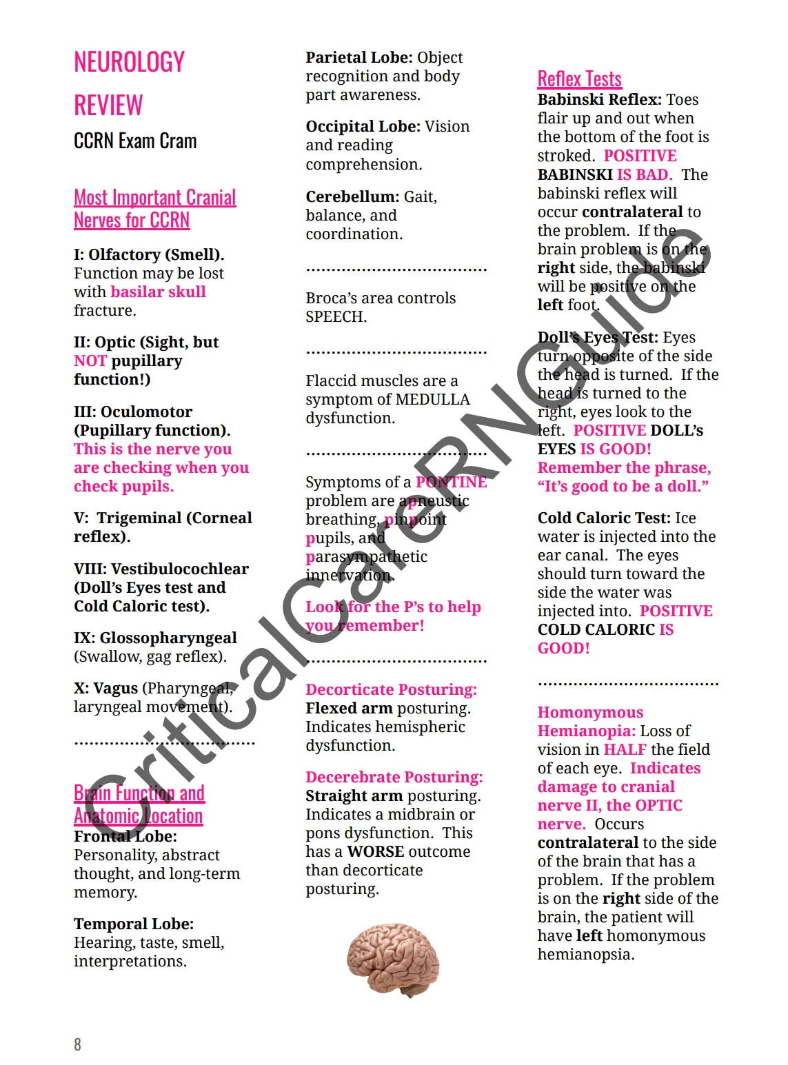 CCRN Study Guide - Etsy