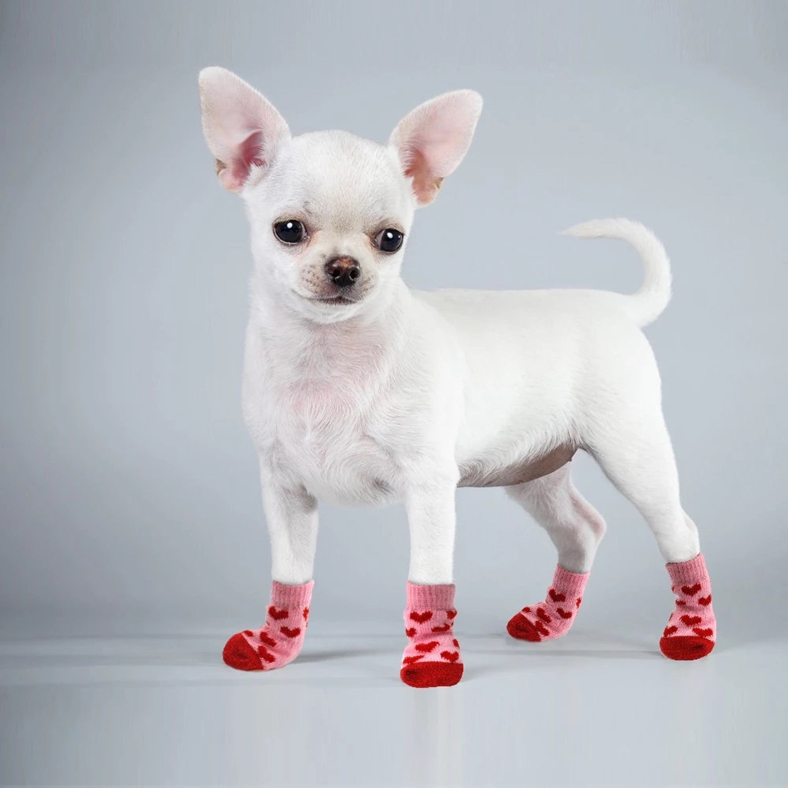 4pcs/set Cute Puppy Dog Socks Cartoon Anti Slip Knit Socks - Etsy