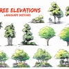 Hand-drawn Trees, Tree, Tree Elevations PNG, Landscape Design Elements ...