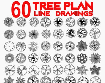 Flowering Tree Plan View, Tree Plan PNG Images, Tree Top View Symbol ...