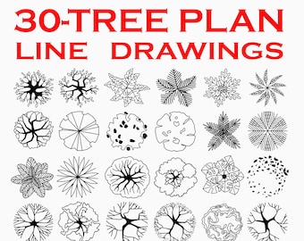 tree plan view vector