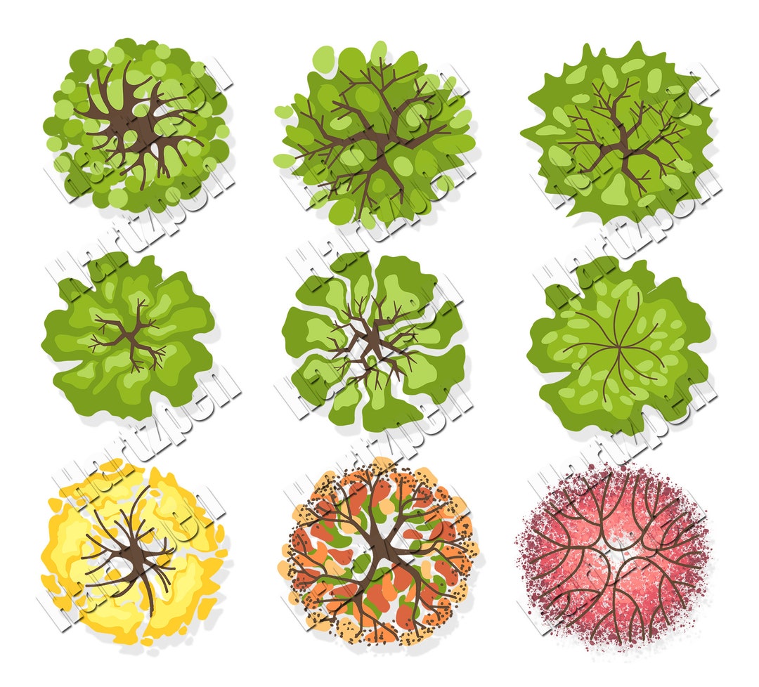 Tree Plan View PNG, Tree Plan Symbol, Tree Top View Images, Tree, Tree ...