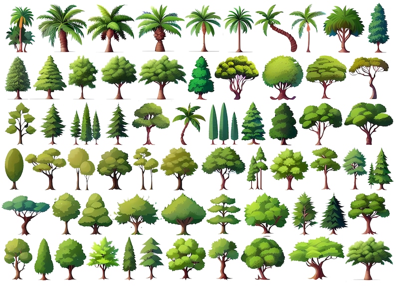 Tree Elevation PNG Images, Tree PNG Templates, Tree Elevation Symbols ...