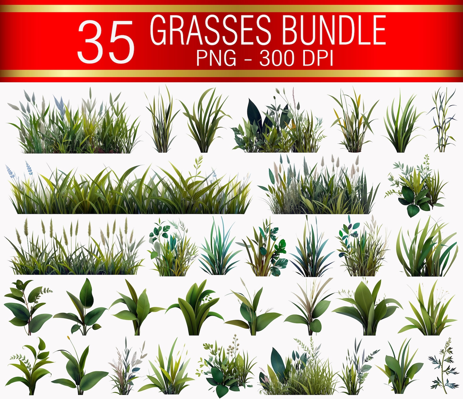 Grass Illustration PNG Bundle, Grasses, Grass Stamps, Landscape Grass ...