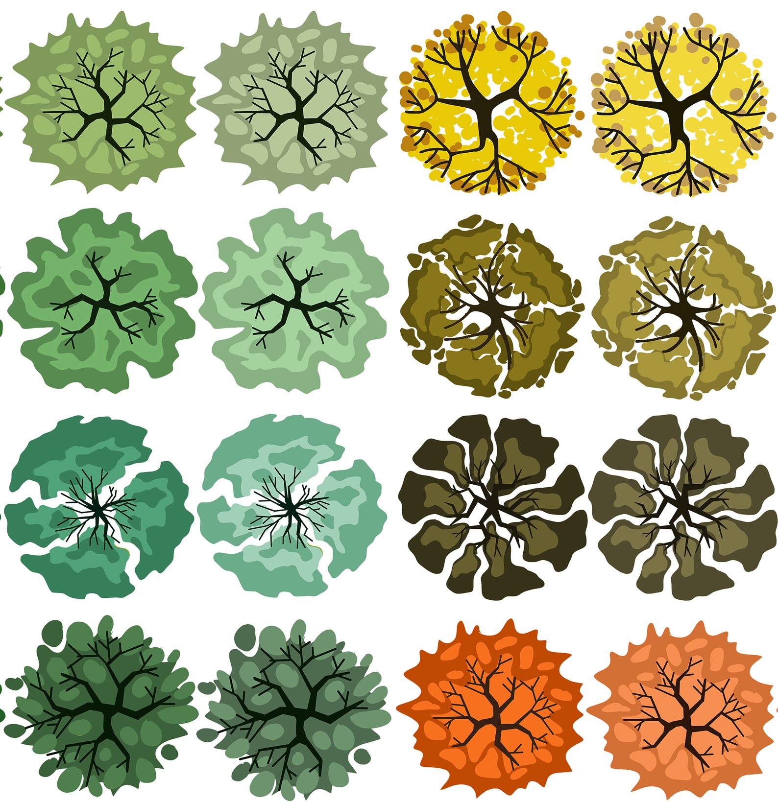 Tree Top View PNG Templates, Tree Top View Stamps, Tree Plan View ...