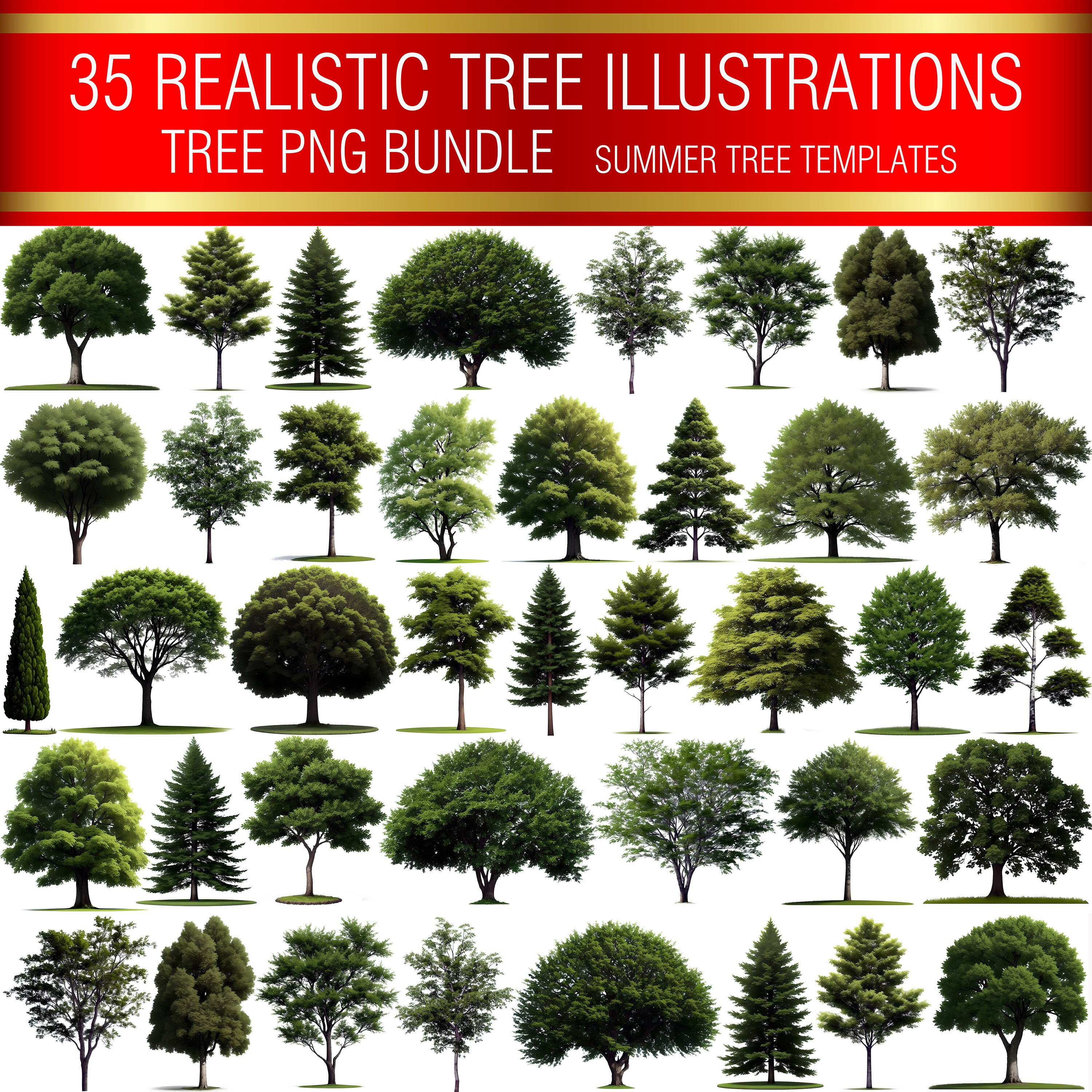 Summer Tree Clipart Bundle | PNG Illustrations for Landscape & Garden ...