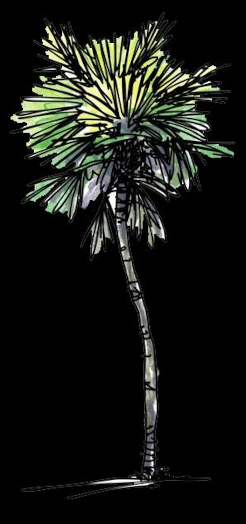 Hand-drawn Trees, Tree, Tree Elevations PNG, Landscape Design Elements ...