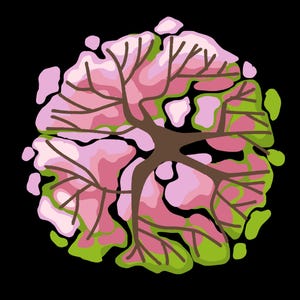 Tree Top View Symbols, Landscape Tree Plan and Grass Textures ...