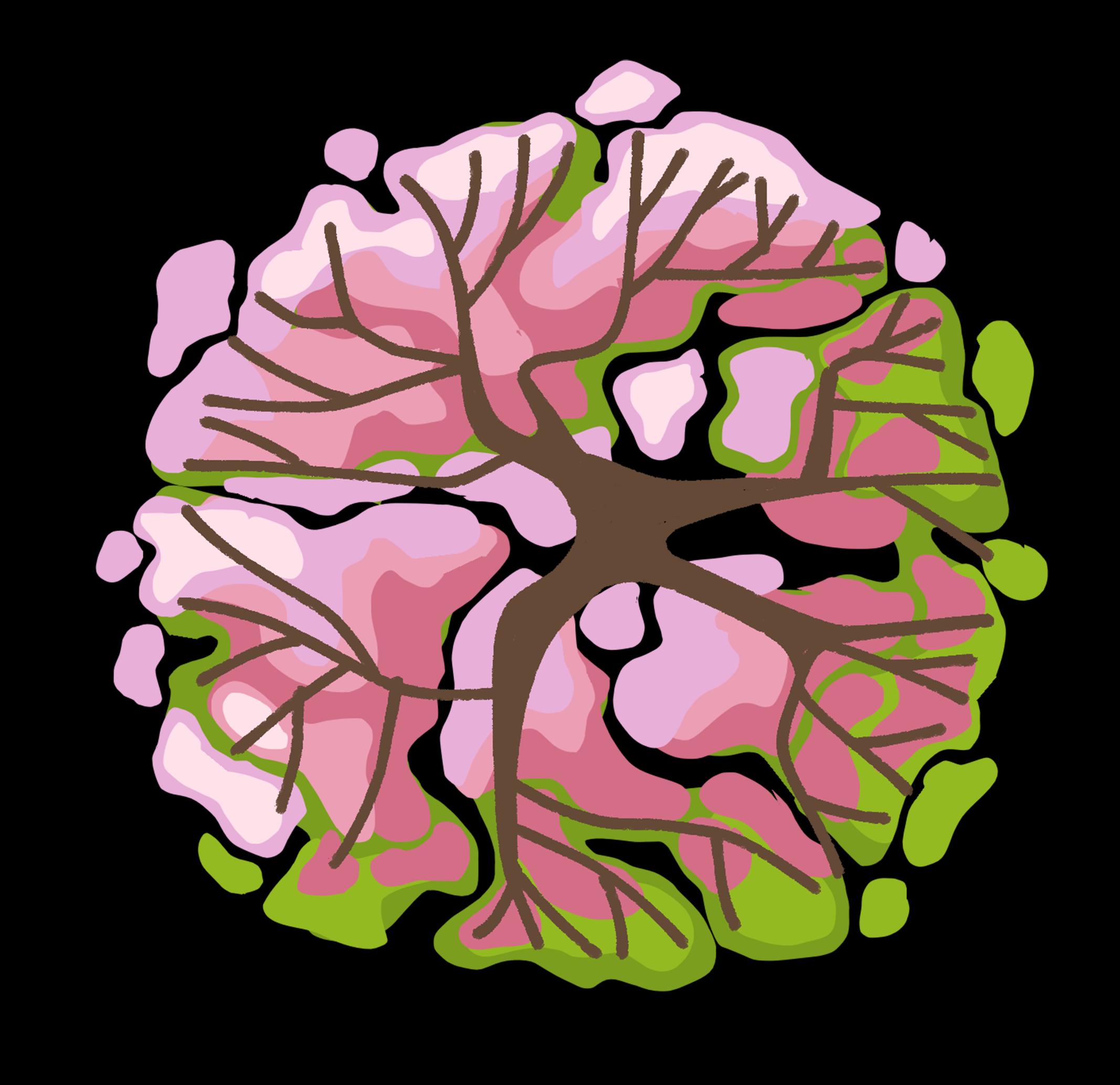 Tree Top View Symbols, Landscape Tree Plan and Grass Textures ...