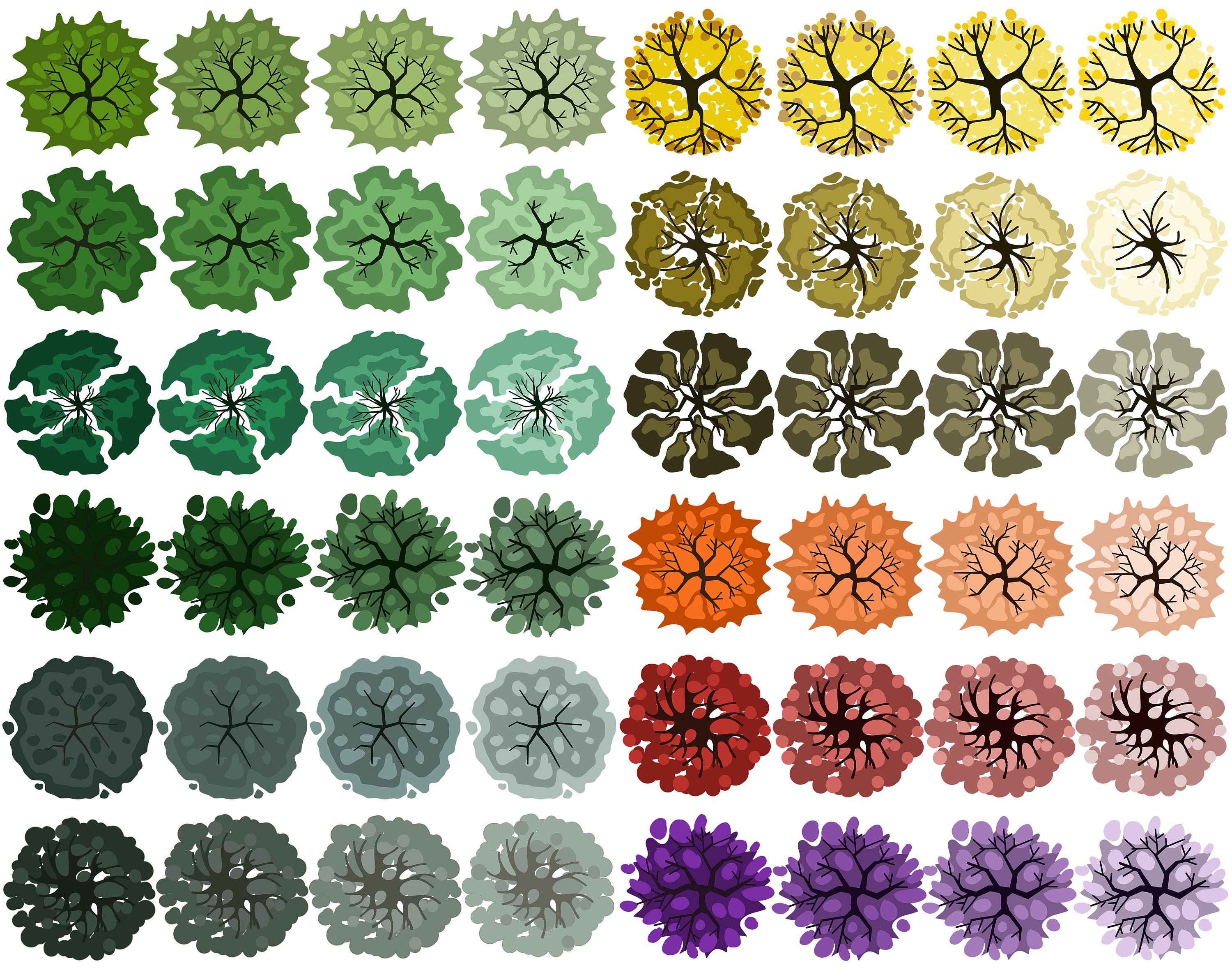 Tree Top View PNG Templates, Tree Top View Stamps, Tree Plan View ...