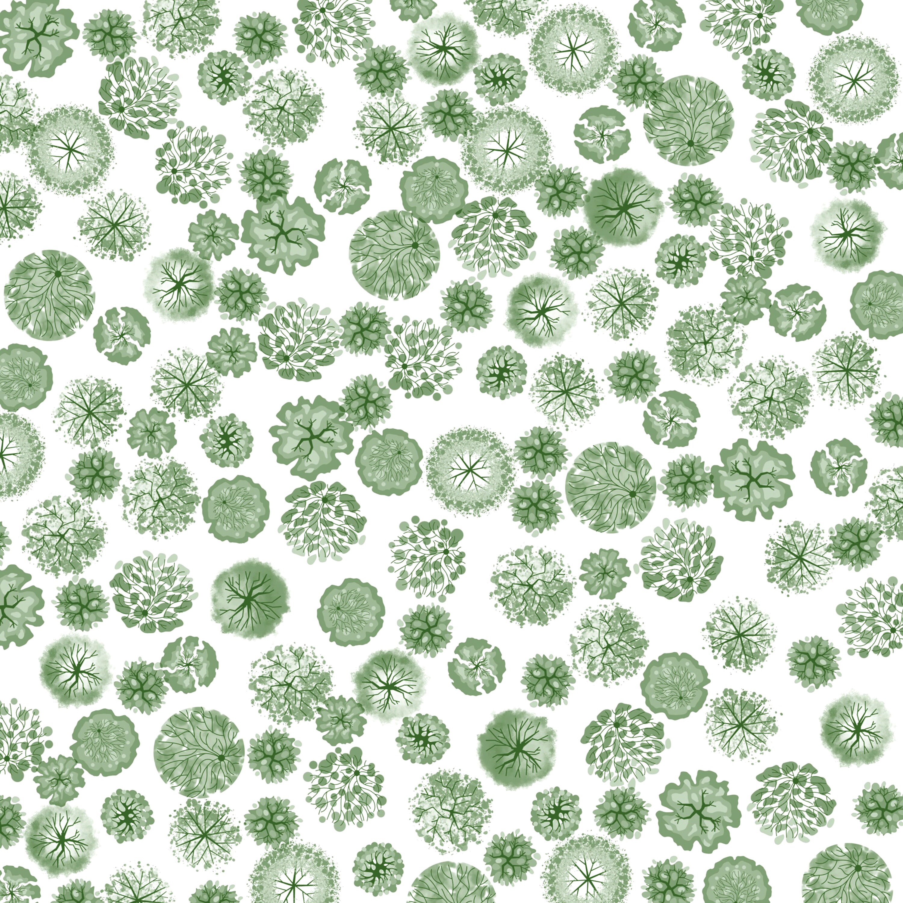 Procreate Landscape Tree Plan View Stamp, Landscape Design Elements ...